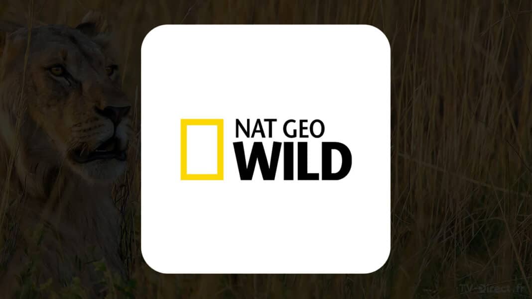 Nat Geo Wild TV : le live streaming HD à regarder depuis la France